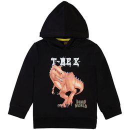 Dino World Sweatshirt Jungen Gr&ouml;&szlig;e 98 mischfarben / schwarz