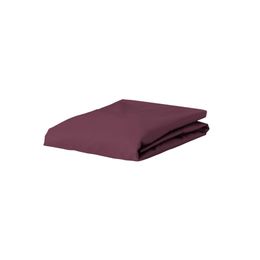 Essenza Bettlaken Herren Gr&ouml;&szlig;e 160x200 beere