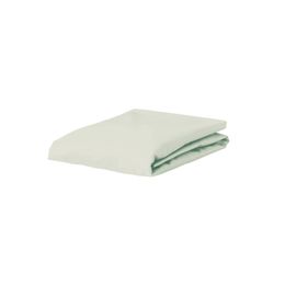 Essenza Bettlaken Herren Gr&ouml;&szlig;e 90x220 eierschale