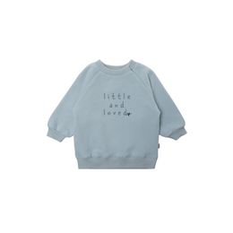 Liliput Sweatshirt 'little and loved' Jungen Gr&ouml;&szlig;e 98/104 hellblau