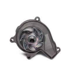 Hepu Wasserpumpe p433 f&uuml;r MINI
