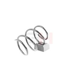 GH Fahrwerksfeder gh2016013 Vorderachse links f&uuml;r MINI
