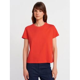 Dilvin T-Shirts Damen Gr&ouml;&szlig;e L orange