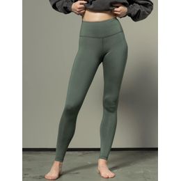 Hey Honey Leggings 'Arctic' Damen Gr&ouml;&szlig;e XL tanne