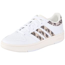 adidas Sportswear Sneaker Jungen Gr&ouml;&szlig;e 35.5 beige / braun / wei&szlig;