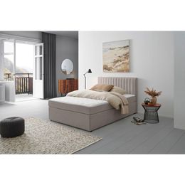 P & B Boxbett, Hellgrau, Holz, Textil, Tanne, H3, 7-Zonen, H&ouml;he ca. 20 cm, 140x200 cm, Schlafzimmer, Betten, Boxspringbetten
