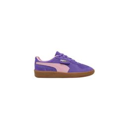 Puma Sneaker Low 397274 Violett | Gr.: 23