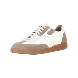 Gabor Sneaker Herren Gr&ouml;&szlig;e 43 dunkelbeige / wei&szlig;
