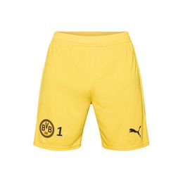 Puma Workout Pants 'Borussia Dortmund 25/26' male size XXL Yellow