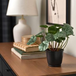 IKEA BROKTRAST &Uuml;bertopf