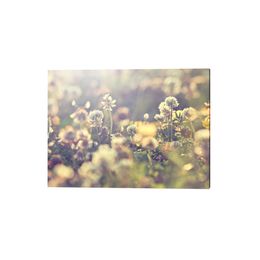 Liv Corday Bild 'Retro Flowers' Herren Gr&ouml;&szlig;e 40x50 pastellgelb / gr&uuml;n / dunkelgr&uuml;n