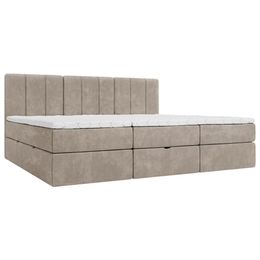 Esposa Familienbett, Graubraun, Kunststoff, H3, H&ouml;he ca. 21 cm, 240x200 cm, gepolstertes Kopfteil, Stoffauswahl, Topper geteilt, in verschiedenen Gr&ouml;&szlig;en erh&auml;ltlich, Box mit integrierter Matratze, Familienbett, Schlafzimmer, Betten, Familienbetten