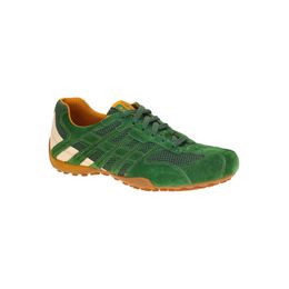 Geox Lace-Up Shoes 'Geox Snake Schuhe gr&uuml;n U55MNA' male size 41 Green
