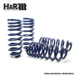 H&R Fahrwerksatz, Federn Verst&auml;rkungsfedern/H&ouml;herlegungsfedern Sportfeders&auml;tze/Performance Lowering Springs 294981