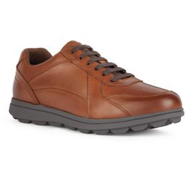 Geox U SPHERICA EC12 Leder Bovine Vollnarben Herren Cognac Sneaker