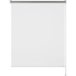 Sch&ouml;ner Wohnen Kollektion Seitenzugrollo, B:75cm H:150cm, wei&szlig;, SCH&Ouml;NER WOHNEN-KOLLEKTION, Polyester, Rollos, "Thermorollo Martha", Sch&ouml;ner Wohnen Rollo, geklebt