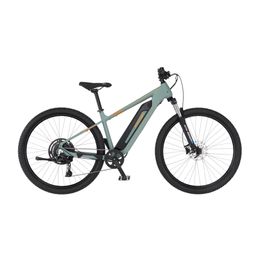FISCHER BIKE FISCHER FAHRRAD E-Bike "MONTIS 2.2 688 ACTIVE", 49cm, 29 Zoll (73,66cm)gr&uuml;n, Elektrofahrr&auml;der
