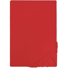 Spannbettlaken Biberna, L:200cm, rot, Jersey, Obermaterial: 100% Baumwolle, Bettlaken, "Leila", Bettlaken aus 100% Baumwolle, f&uuml;r Matratzenh&ouml;hen bis