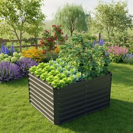 Konifera Hochbeet &raquo;"Emmy", bodenloses Gartenbeet aus verzinktem Stahl&laquo; mit Verstrebungen f&uuml;r mehr Stabilit&auml;t, in zwei Farben grau Stahl B/H/T: 100cm x