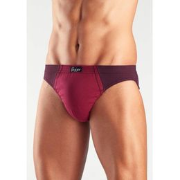 Le Jogger Slip in bunt | Gr.: 7