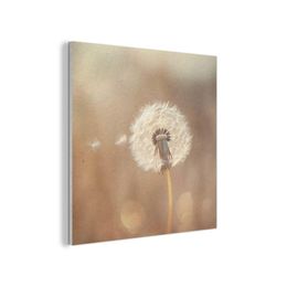 OnlyWow Akustibild Nahaufnahme Flaum | Gr.: 60 x 60 cm