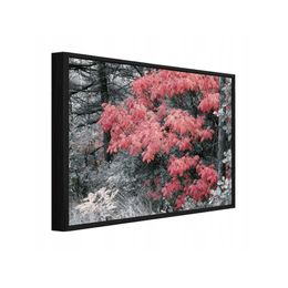 WALLARENA Bilder mit Rahmen Wald in Grau | Gr.: 40 x 30 cm