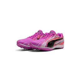Puma Sportschuh "evoSPEED Haraka Sparked" in Lila | Gr.: 41