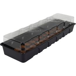 Windhager Gew&auml;chshaus &raquo;f&uuml;r Fensterb&auml;nke, Zimmer-Gew&auml;chshaus Indoor&laquo; Anzucht Fensterbank-Treibhaus inkl. 36 Quelltabs, 54,5x16,5x11 cm schwarz B/H/T: 16,5cm x 