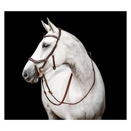 Horseware Micklem Competition Bridle 3.0 braun WB