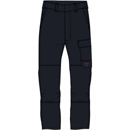 Carhartt FR Steel Multi-Norm Cargo, Workwear Hose