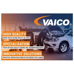 VAICO Lagerung, Motor Original Qualit&auml;t v103316 vorne links f&uuml;r VAG