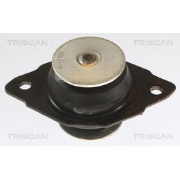 TRISCAN Lagerung, Motor 850529161 f&uuml;r VW