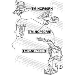 FEBEST Lagerung, Motor tmncp90rr hinten f&uuml;r TOYOTA