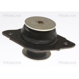 TRISCAN Lagerung, Motor 850529144 f&uuml;r VW