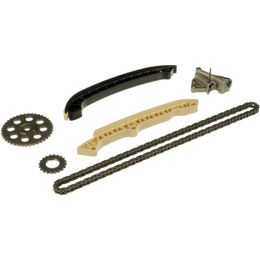 GATES Steuerkettensatz chk1009