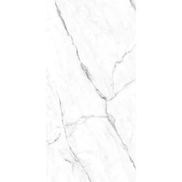 Breuer R&uuml;ckwand 'Marmor-Wei&szlig;' hochglaz 100 x 255 cm