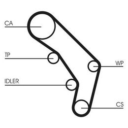 CONTINENTAL CTAM Zahnriemen ct755 f&uuml;r VW