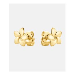 Diamant L'&eacute;ternel Ohrringe aus 585 Gelbgold | Gr.: onesize