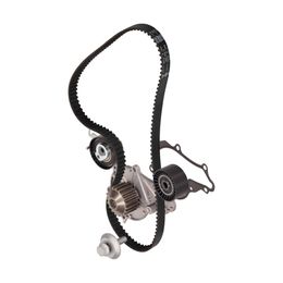 SCHAEFFLER INA Wasserpumpe + Zahnriemensatz 530 0698 30 f&uuml;r Ford Opel Citro&euml;n Peugeot DS TOYOTA