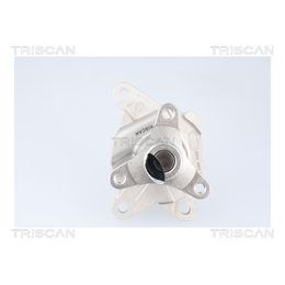 TRISCAN Wasserpumpe 860014023 f&uuml;r RENAULT