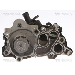 TRISCAN Wasserpumpe 860029087 f&uuml;r CUPRA VW