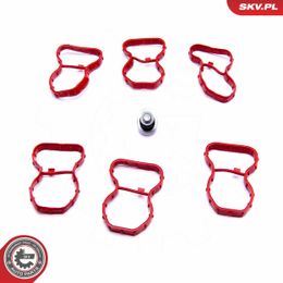 ESEN SKV Reparatursatz, Saugrohrmodul 49SKV520 f&uuml;r BMW