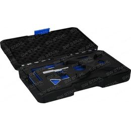 SWSTAHL Einstellwerkzeugsatz, Steuerzeiten 26373l f&uuml;r Ford Volvo RENAULT MAZDA MITSUBISHI VW