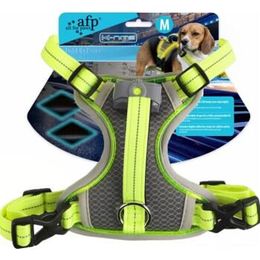 All for paws Hundegeschirr K-Nite Leuchtendes Reflektierendes M
