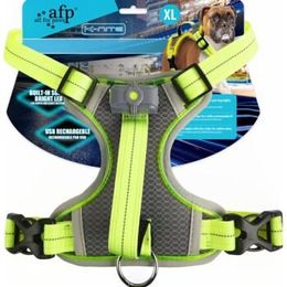 All for paws Hundegeschirr K-Nite Leuchtendes Reflektierendes XL
