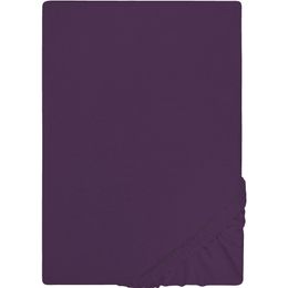 Spannbettlaken Biberna, L:200cm, lila, Jersey, Obermaterial: 100% Baumwolle, Bettlaken, "Leila", Bettlaken aus 100% Baumwolle, f&uuml;r Matratzenh&ouml;hen bis