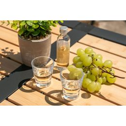 Berger Acryl Schnapsgl&auml;ser 40 ml (2er Set) - Gl&auml;ser