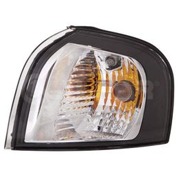 Alkar Blinkleuchte 1901513 PY21W vorne links f&uuml;r Volvo