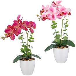 Creativ green Kunstorchidee &raquo;Orchidee Phalaenopsis&laquo; mit Eukalyptuszweigen bunt Kunststoff B/H/L: 40cm, 2 Stk.