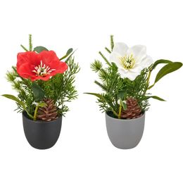 Creativ green Winterliche Kunstpflanze &raquo;Arrangement mit Christrose&laquo; mit Tannenzweigen und Zapfen gr&uuml;n Polyester B/H/L: 18cm, 2 Stk.